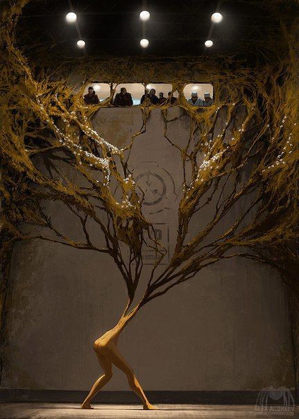 Купить SCP Foundation. Secure. Contain. Protect недорого в интернет ...