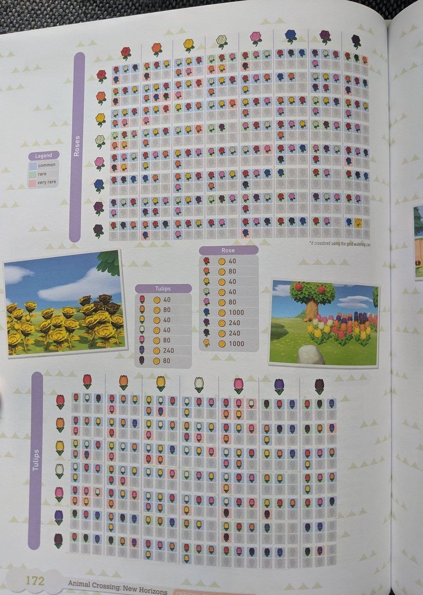 Купить Animal Crossing: New Horizons Official Companion Guide Paperback ...